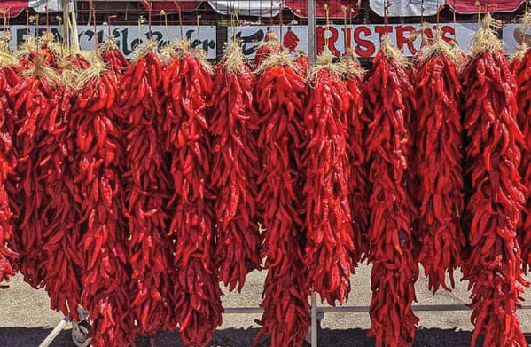 Exploring the Charm and Utility of Red Chile Ristras - Infoinpedia